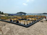 China 6m x 6m Square HDPE Fish Cage for Tilapia Farming with Multi-Cell Floating Net Cage for sale