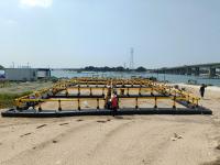 China 6m x 6m Square HDPE Fish Cage for Tilapia Farming with Multi-Cell Floating Net Cage for sale
