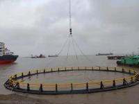 China Boost Your Aquaculture Yield: HDPE Fish Cage With Significant Production Growth for sale