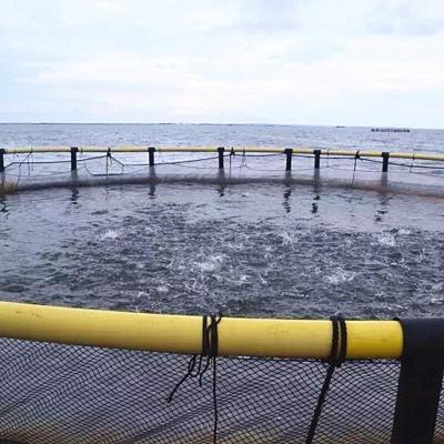 China South America Chile Special HDPE Fish Cage Anti-wave Salt Alkali Resistant Aquaculture Cage for sale