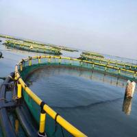 China South America Chile Special HDPE Fish Cage Anti-wave Salt Alkali Resistant Aquaculture Cage for sale