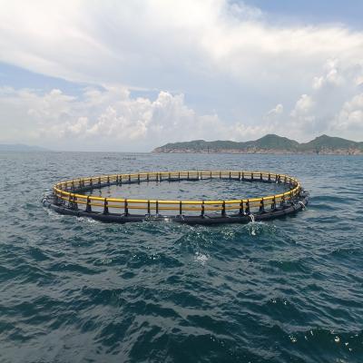 China Customizable HDPE Fish Cage Complete Aquaculture Solution with Installation Guidance for sale