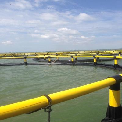 China High Strength Welded HDPE Fish Cage Anti-current Anti-deformation Marine Cage for sale