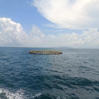 China High Strength Welded HDPE Fish Cage Anti-current Anti-deformation Marine Cage for sale