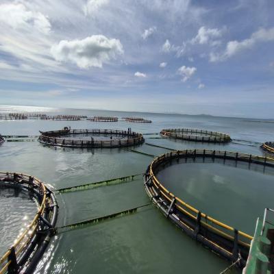 China Grade 12+ Typhoon Resistant Circular HDPE Deep‑Sea Fish Cage, 15+ Years Service Life for sale