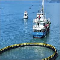 China Grade 12+ Typhoon Resistant Circular HDPE Deep‑Sea Fish Cage, 15+ Years Service Life for sale
