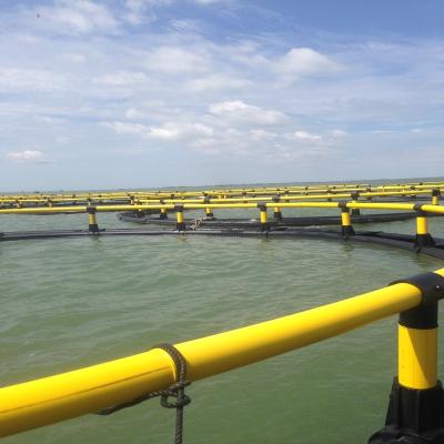 China Large‑Circumference Round HDPE Offshore Aquaculture Cage, Big Water Volume For Sea Bass & Cobia Farming for sale