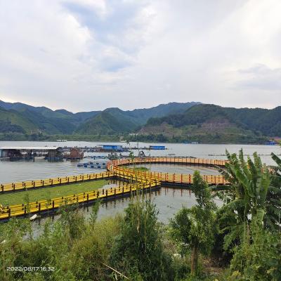 China Modular Assembled HDPE Fish Cage, Easy Disassembly, Tilapia & Catfish Farming Cage Export To African Lakes for sale