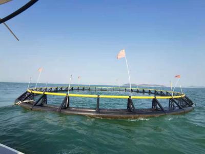 China Bigger space, healthier fish, massive profits: The HDPE Fish Cage revolution. for sale