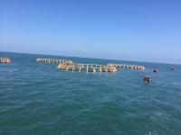 China Bigger space, healthier fish, massive profits: The HDPE Fish Cage revolution. for sale