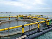 China PE100 Material Anti-wind Square HDPE Fish Cage with 200mm Main Float Pipe for Aquaculture for sale