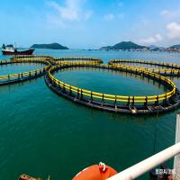 China Custom Circumference HDPE Circular Deep‑Sea Cage, Industrial Aquaculture Equipment for sale