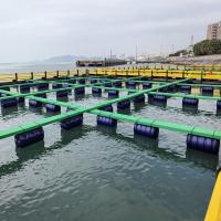 China Anti‑Corrosion HDPE Fish Raft Cage, Specially For Tropical Seawater Farming for sale