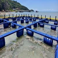China Anti‑Corrosion HDPE Fish Raft Cage, Specially For Tropical Seawater Farming for sale