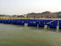 China Anti‑Corrosion HDPE Fish Raft Cage, Specially For Tropical Seawater Farming for sale