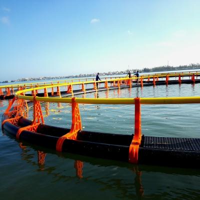 China HDPE Offshore Fish Cage With Widened High‑Buoyancy Pipes, Larger Load‑Bearing Capacity for sale