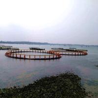 China HDPE Offshore Fish Cage With Widened High‑Buoyancy Pipes, Larger Load‑Bearing Capacity for sale