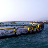 China Large‑Volume Deep‑Water HDPE Fish Cage, Ample Space For Fish & Shrimp Movement for sale