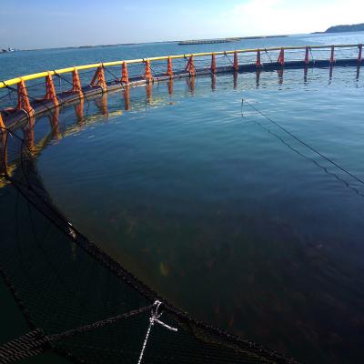 China Export‑Grade Modular HDPE Fish Cage, Efficient Container Loading for sale