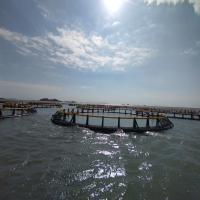 China Eco‑Friendly Recyclable HDPE Aquaculture Cage, No Heavy Metal Leaching for sale