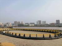 China Premium HDPE Floating Fish Cage | Price As Low As USD 2,000, Harvest Up to 20 Tons for sale