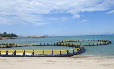 China Premium HDPE Floating Fish Cage | Price As Low As USD 2,000, Harvest Up to 20 Tons for sale