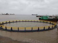 China Affordable HDPE Fish Cage, Production Up to 20 Tons, Starting at USD 2000 for sale