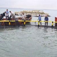 China Modular Square Deep Water Aquaculture Cage, Knock-Down & Easy Transport for sale