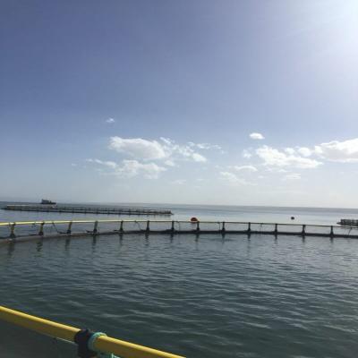China Reinforced Coastal Wave-Resistant Cage, Level 12 Wind Resistance for sale