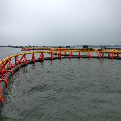 China HDPE Floating Cage for Freshwater Lake, Tilapia & Catfish Aquaculture Net Cage for sale