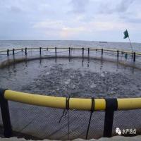 China HDPE Floating Cage for Freshwater Lake, Tilapia & Catfish Aquaculture Net Cage for sale