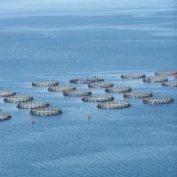 China Special‑Purpose Aquaculture Fish Cage for Benin West‑Africa Blue‑Economy Projects for sale