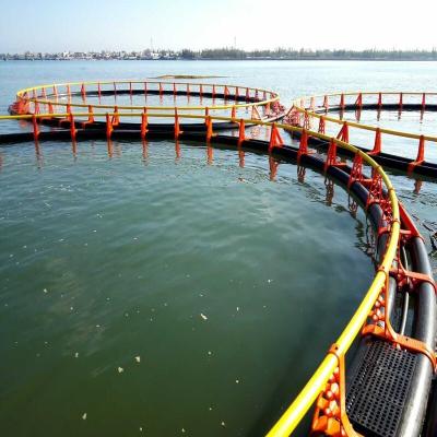 China Customizable HDPE Floating Fish Cage Complete Aquaculture Equipment for sale