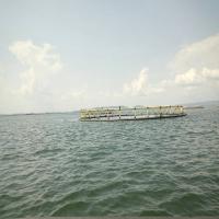 China HDPE Floating Fish Cage Manufacturer | Custom Aquaculture Cage China Supplier for sale