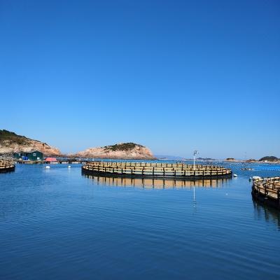 China Lake Aquaculture HDPE Floating Net Cage for Tilapia for sale