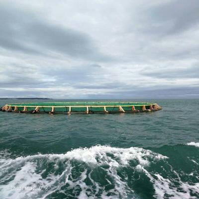 China UV Stabilized HDPE Aquaculture Floating Fish Cage, Long Service Life for sale