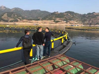 China Deep Blue West Africa: Offshore Anti-Current & Anti-Tidal Commercial Aquaculture Fish Cages for Ghana and Senegal for sale