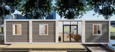 China Modular Prefabricated Container Homes Grey Wood Grain Exterior for sale