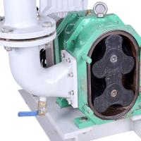 China Multifunctional Rotary Lobe Pump Stainless Steel For Municipal Sewage for sale