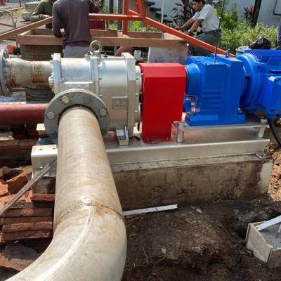 China Rotary Practical Industrial Lobe Pump Wear Resistant Flange DN150 for sale