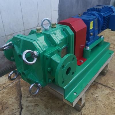China Antiwear DN50 Rotary Lobe Sludge Pump With Protection Plates for sale