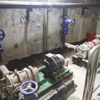 China Durable Antiwear Primary Sludge Lobe Pump , Pressure Resistant PD Pump Types for sale