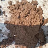 China Dewatered Rotary Lobe Sludge Pump Non Flowable Abrasion Resistant for sale