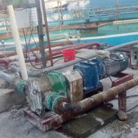 China NBR Rubber Coated Rotor Pump Positive Displacement Stable Flange DN80 for sale