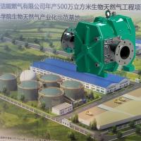 China 4 Bar Digester Feed Biogas Pump FKM Rubber Multipurpose Stable for sale