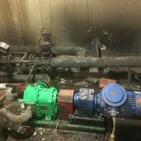 China Reversible 190Rpm Food Waste Pumps Multipurpose Anti Corrosion for sale