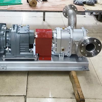 China Tri Lobe Rotors Industrial Lobe Pump For High Viscosity Medium SS316 Rotors for sale