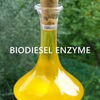 China High Solubility Biodiesel Enzyme With Stable Performance And PH 7-9 for sale