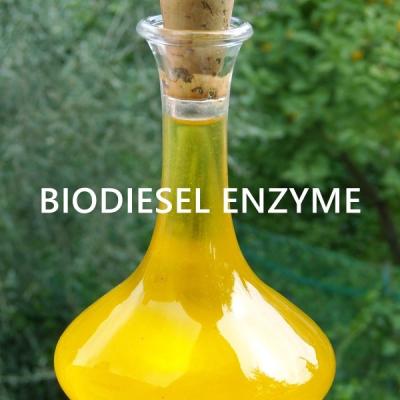 China High Solubility Biodiesel Enzyme With Stable Performance And PH 7-9 for sale
