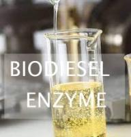 China 25KG/Bag High Performance Biodiesel Enzyme Boost Biofuel Production for sale
